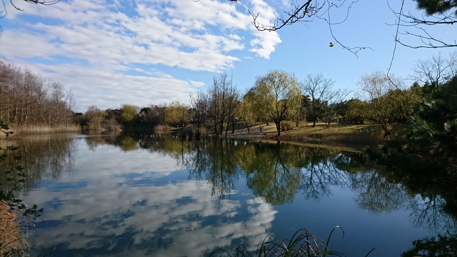 県営吉田公園 | スポット・体験 | 【公式】静岡県観光ガイド Hello Navi